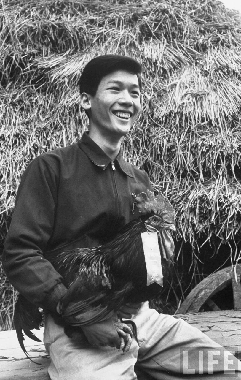 Poemas del río Wang: Past Chinas