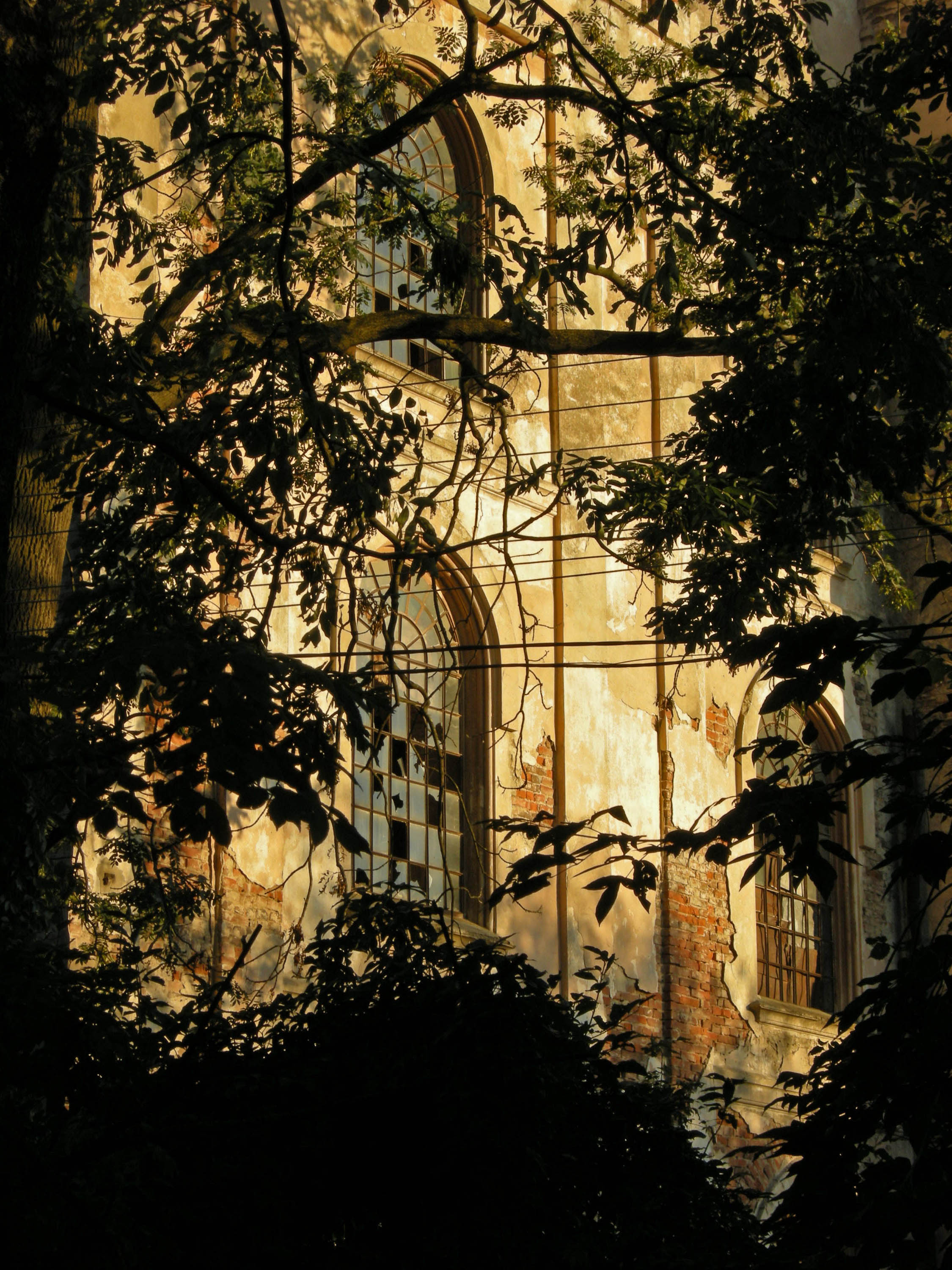 Poemas del río Wang: Drohobycz and the world