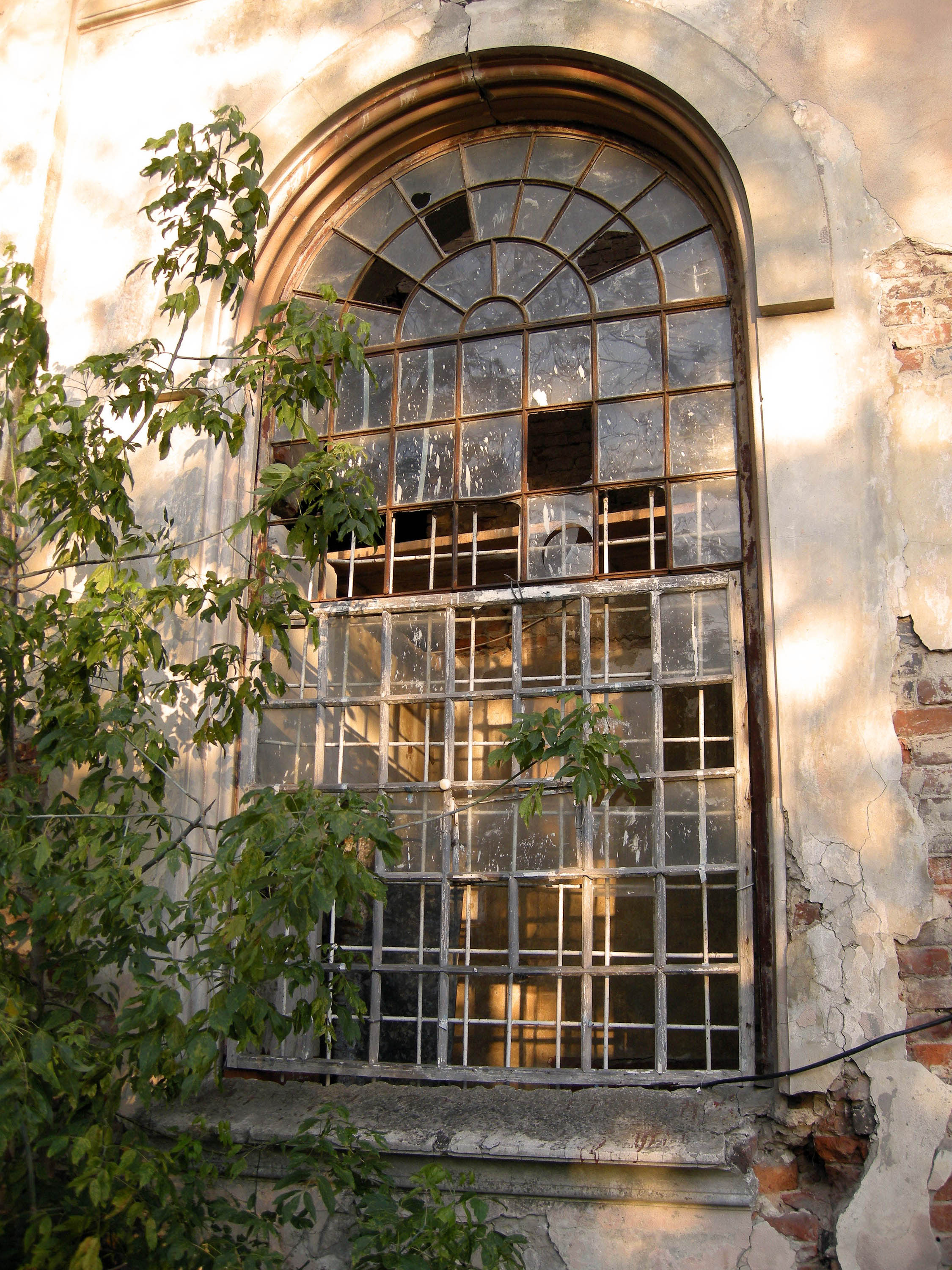 Poemas del río Wang: Drohobycz and the world