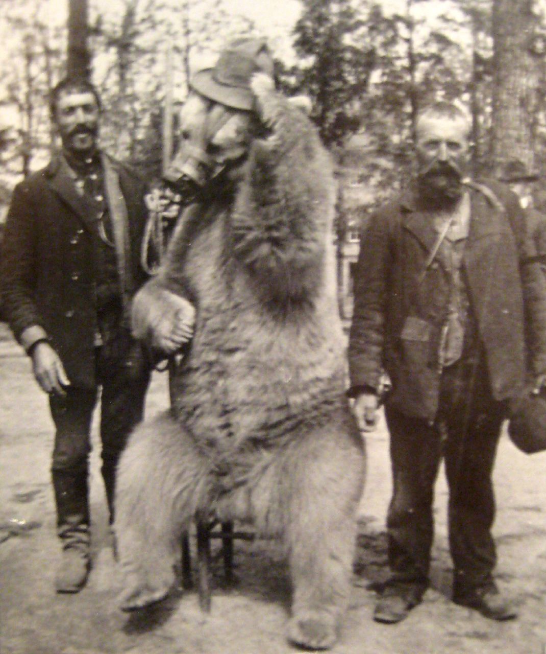 Poemas del río Wang: The Hungarian and his bear