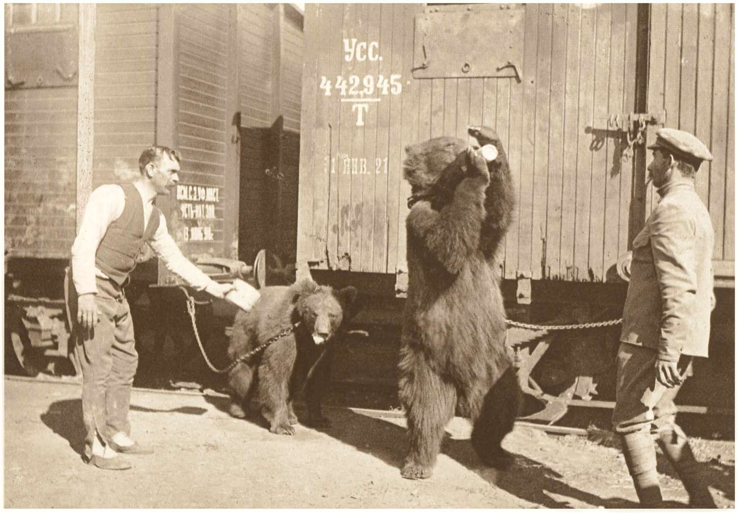 Poemas del río Wang: The Hungarian and his bear