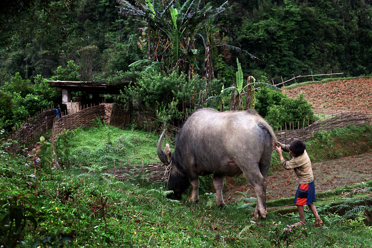 Poemas del río Wang: Sapa