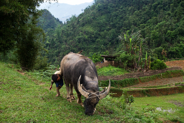 Poemas del río Wang: Sapa